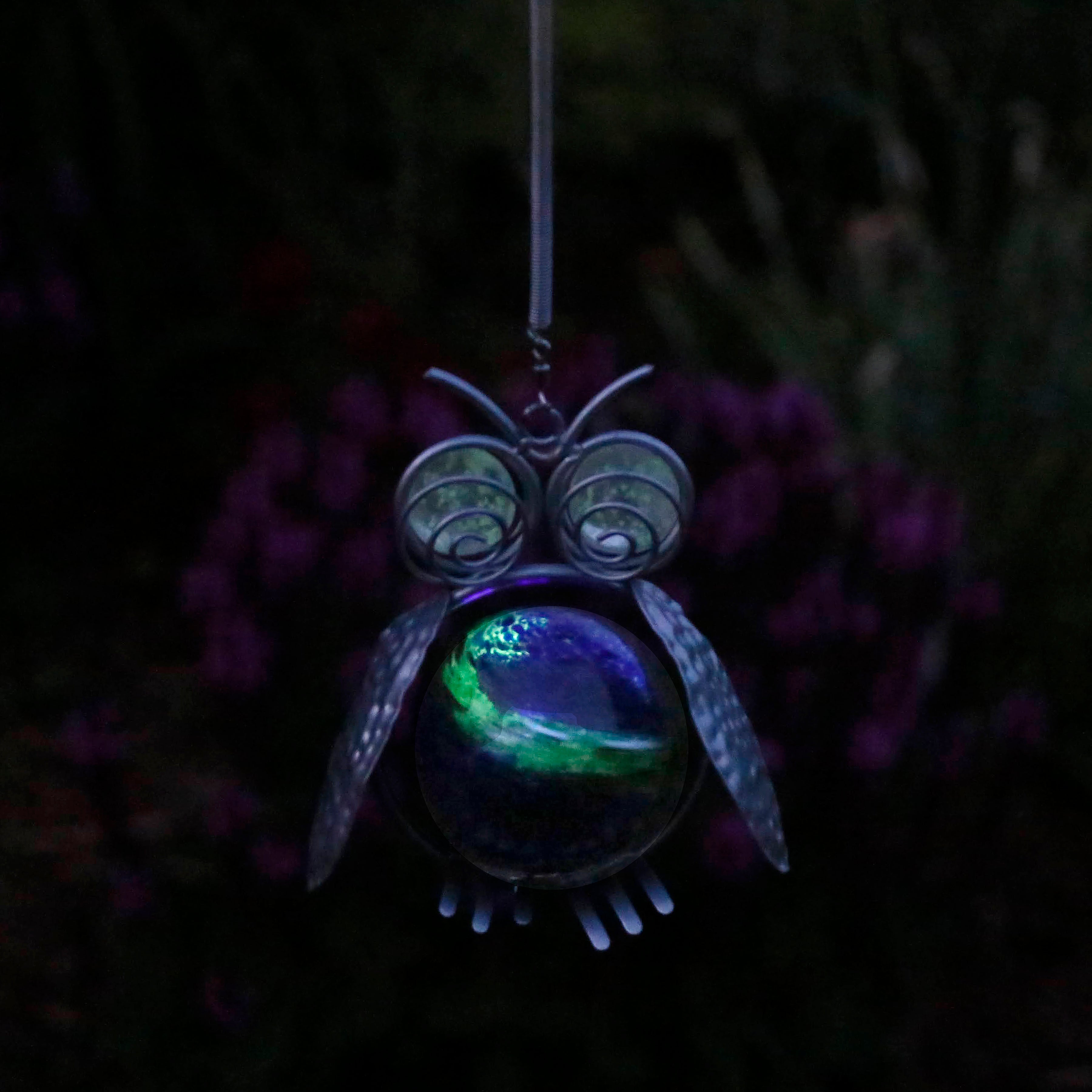 LunaLite Bouncer - Owl - EchoValley.com
